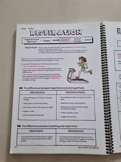 Psle Science Sketchnotes Hobbies And Toys Books And Magazines Assessment Books On Carousell