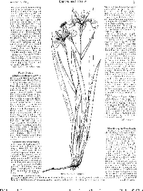 Figure 1 From Improved Resolution Scalability For Bilevel Image Data In Jpeg2000 Semantic Scholar
