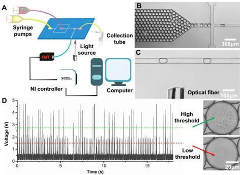 Evaluation Of The Counting Part Of The Microfluidic Platform For Download Scientific Diagram