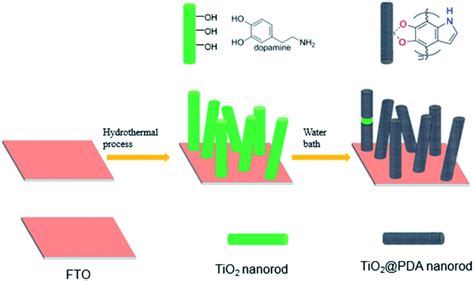 Constructing A Tio 2 Pda Coreshell Nanorod Array Electrode As A