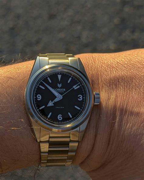 My New Lorier Falcon Iii Watchcrunch