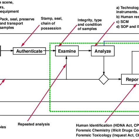 Process Flow Chart For Forensic Science Services In Tanzania And The