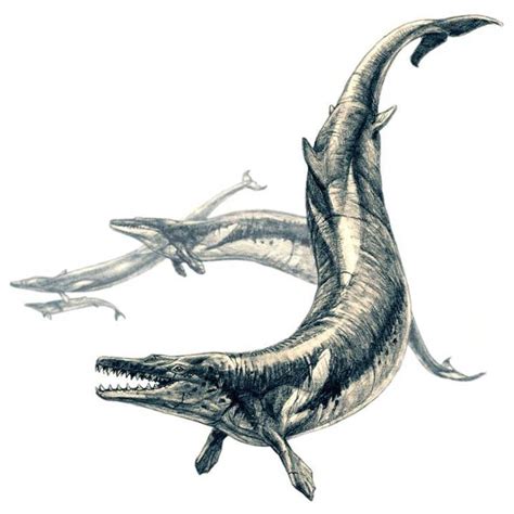 Basilosaurus Wikipedija