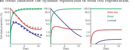 Simulation Of Cell State Dynamics Dynamics Of Cellstate Proportion Download Scientific Diagram