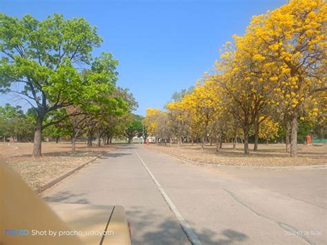 Suresh Maloth Posted On Linkedin