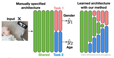 密集预测任务的多任务学习（multi Task Learning）研究综述 网络结构篇（上）密度估计多任务学习 Csdn博客