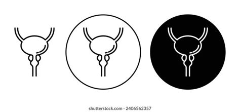Prostate Vector Illustration Set Urinary Inflammation Stock Vector Royalty Free 2406562357