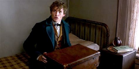 Fantastic Beasts Newt Scamander Facts We Want To See In The Movies