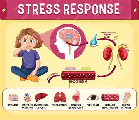 Free Vector Stress Response System Scheme