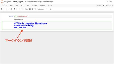 【python】jupyter notebookの使い方 dokupro