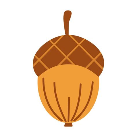 Vector Cute Autumn Acorn Oak Acorn Isolated On White Oak Nut Autumn Tree Fall