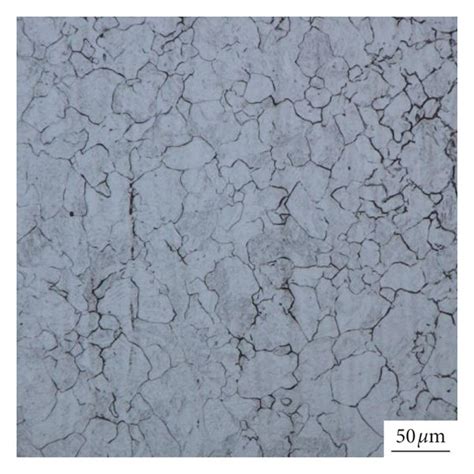 The Metallographic Structure Near The Fracture Surface Of Notched Download Scientific Diagram