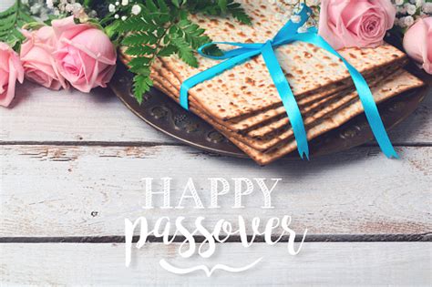 유태인 휴일 유월 절 Pesah 인사말 카드 Matzoh와 나무 배경 위에 장미 꽃 0명에 대한 스톡 사진 및 기타 이미지 0명 계절 곡초류 Istock