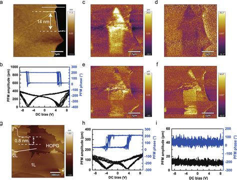 Ferroelectric Polarization Switching By Pfm On γ Gase Nanoflakes A Download Scientific Diagram