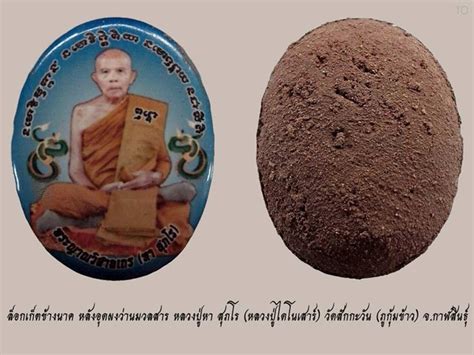 ล็อกเก็ตข้างพญานาค หลังอุดผงว่านมวลสาร หลวงปู่หา สุภโร หลวง ปู่ไดโนเสาร์ วัดสักกะวัน ภูกุ้ม