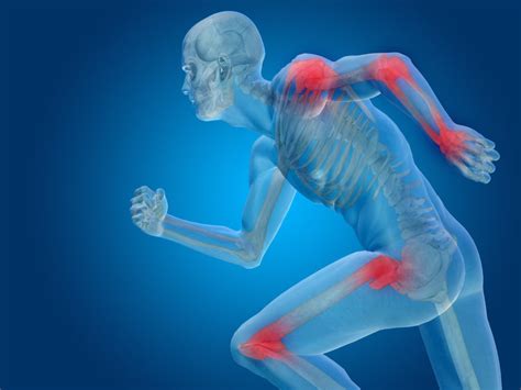 Ortho Rti Developing Biologic Scaffold For Soft Issue Injuries Biotuesdays Ortho Rti Developing Biologic Scaffold For Soft Issue Injuries Biotuesdays