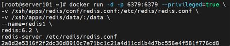 【docker】docker安装redis，并配置数据备份同步到宿主机docker 挂载redis到宿主机 Csdn博客