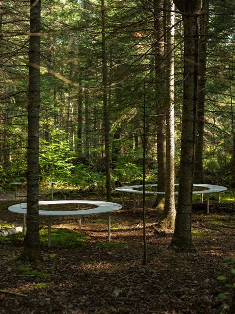 Nesting Loops Thom Fougere