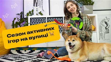 Іграшки для активних прогулянок із собаками - YouTube