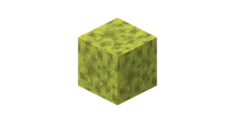 Sponges Recipe Minecraft At George Farrow Blog