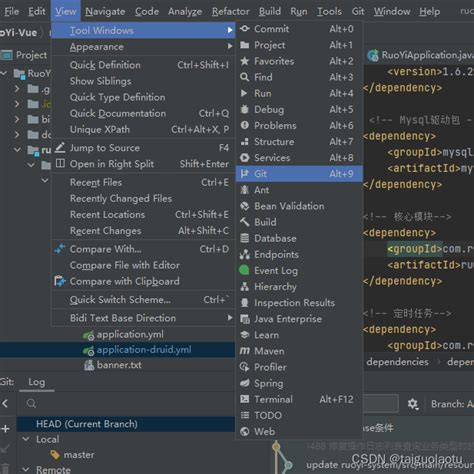 Idea配置 Gitee控制台不显示修改文件颜色变化idea修改文件不变色git Csdn博客
