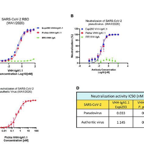 P Pastoris Produced Vhh Iga11 Exhibits Potent Activity Against Download Scientific Diagram