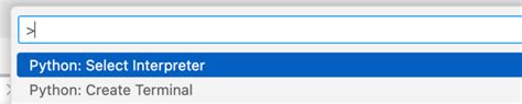 Cheatsheet How To Ensure You Use The Right Python Environment In Vs Code Interpreter Settings