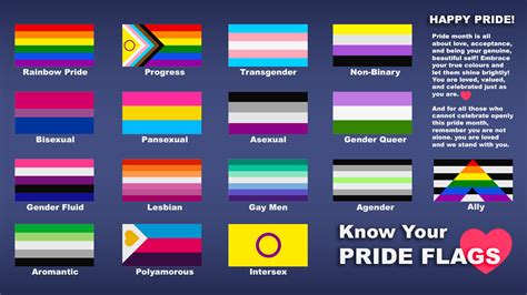 Sexuality Flags And Meanings