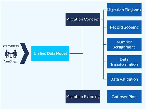 Unifying Processes Standardization In Data Migration Camelot