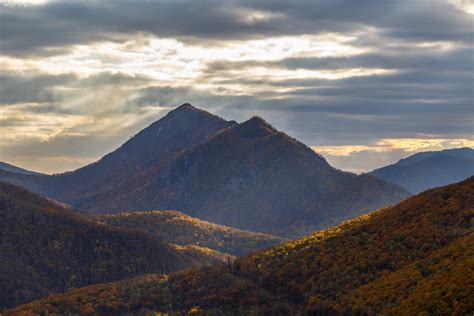 Service Mineral Resource Estimation