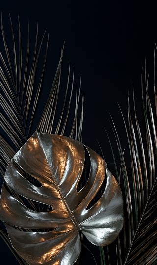 검은 배경에 열대 몬스터와 야자수 무늬를 식물로 남긴 금 Top Viewabstract 0명에 대한 스톡 사진 및 기타 이미지 Istock