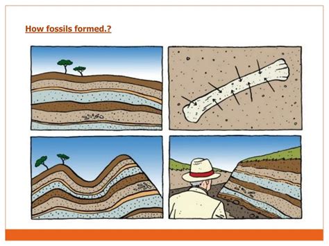PPT Fossils PowerPoint Presentation Free Download ID