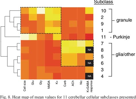 Figure 1 From Classifying Neuronal Subclasses Of The Cerebellum Through