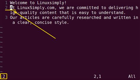 The “vim” Command In Linux 8 Practical Examples