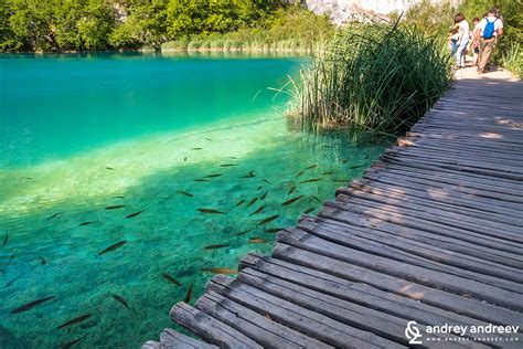 Незабравимите Плитвички езера Хърватия кога и как да ги посетим