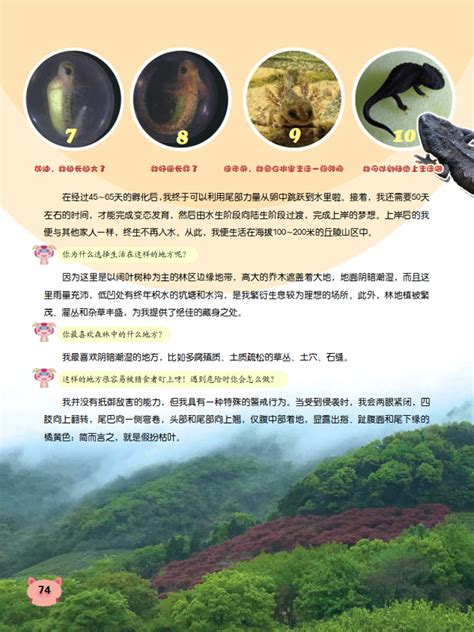 镇海棘螈圆圆 中国数字科技馆