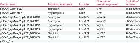 Summary Of Pscar Vectors And Key Features Download Scientific Diagram