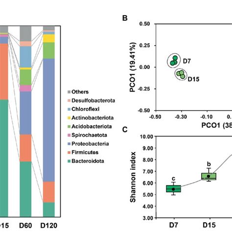 Variation Of Bacterial Community Composition During Experimental Download Scientific Diagram