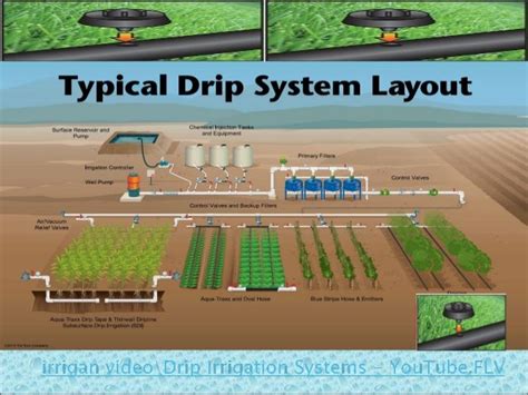 Micro Irrigation For Enhancing Water Productivity In Field Crops