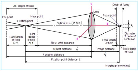 Schematic Diagram Of Depth Of Field And Depth Of Focus 17 Download Scientific Diagram
