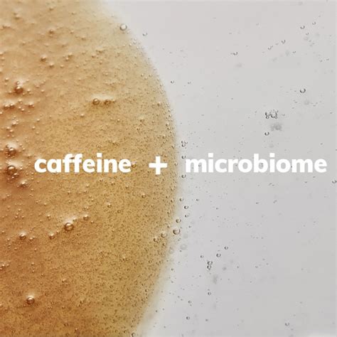 Moremo Caffeine Biome Shampoo For Oily Scalp 500ml [ Lime Herb] Pinkland