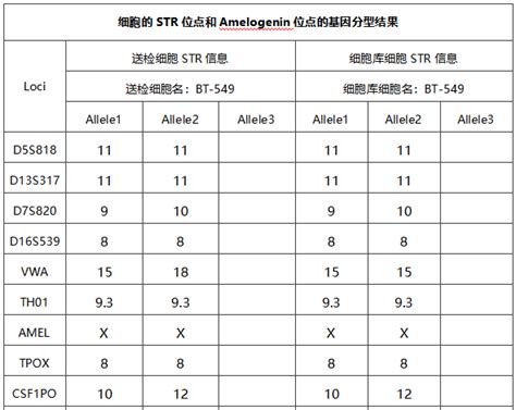 人乳腺导管癌细胞 Bt 549（str鉴定正确）细胞系细胞库旗赛生物科技（武汉）有限公司