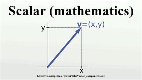 What Is A Scalar In Calculus At Mark Cortese Blog