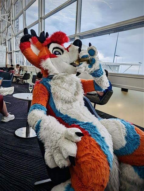 Airport Lounge Before The Flight Free Alcomahol Rfurry