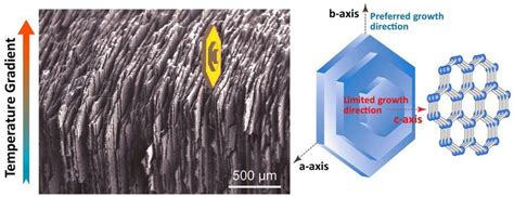 Illustration Of The Hexagonal Character Of Ice Crystals Being The Download Scientific