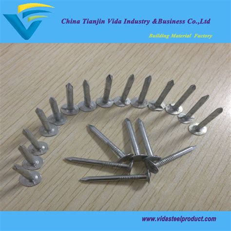 Galvanized Roofing Nails Flat Head Clout Nails China Roffing Nails Factory And Cupper Nails