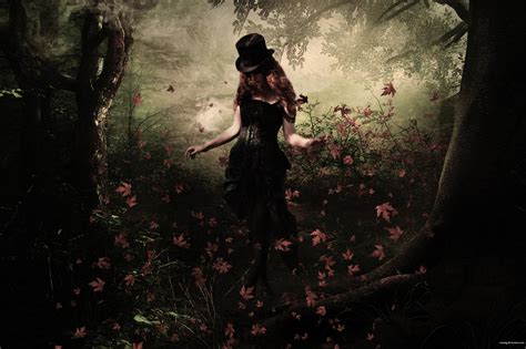 Alice In The Forest By Shanegallagher On Deviantart