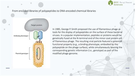 Dna Encoded Library Technology Boc Sciences Pptx Genetics Science