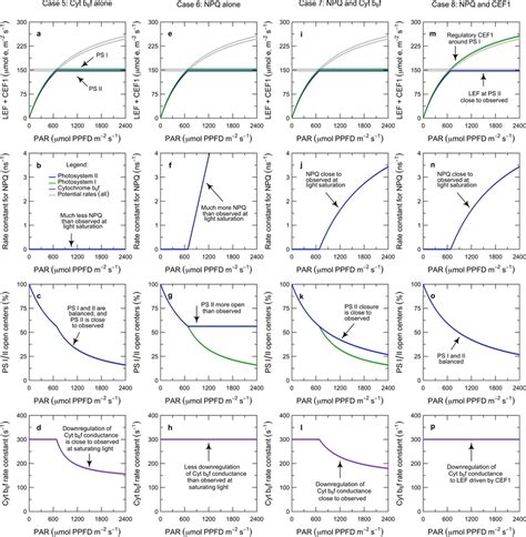Key Model Predictions Related To The Regulation Of The Electron