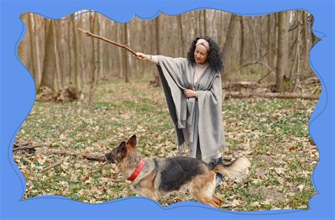 Why Experienced Developers Use Getters And Setters By Milos Zivkovic